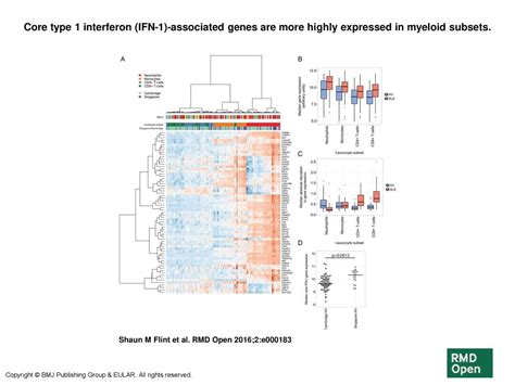 Core Type 1 Interferon Ifn 1 Associated Genes Are More Highly