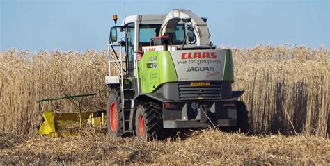 Plastic Particles How To Evaluate Their Toxicity In The Laboratory