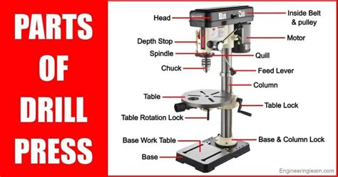 15 Parts of Drill Press and Their Function [Complete Guide] - Engineering Learn
