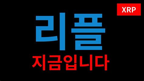 리플 속보 홀더분들 오래 기다리셨습니다 지금입니다 Youtube