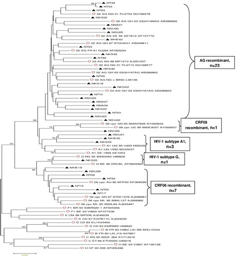 Bootstrap Tree Of 35 Hiv 1 Samples Black Triangles Aligned With Download Scientific Diagram