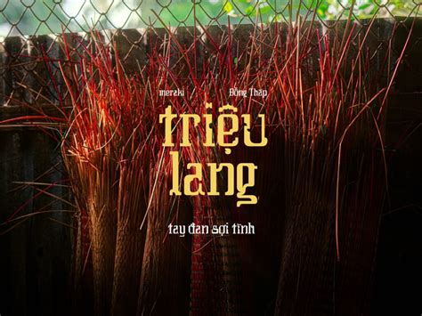 Sinh Viên Fpoly Quảng Bá Du Lịch Hội An Bằng Thiết Kế Typography đầy