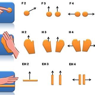 Set Of Physical Multi Touch Gestures Download Scientific Diagram