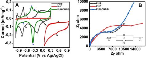 Pdnionf−borophene Nanocomposite As A Promising Catalyst For Ethanol Electro‐oxidation Reaction