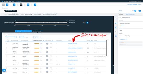 Finding Genomics Data In Ensembl Beta Demo
