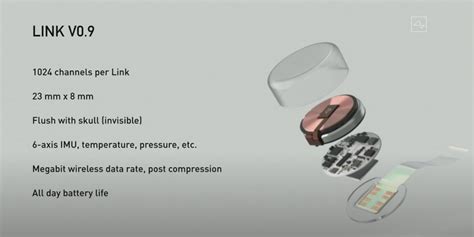 Elon Musk Introduces Pig Implanted With Neuralink Brain Chip Maxim