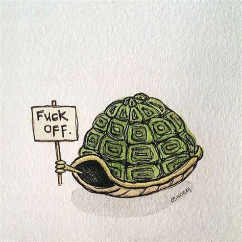 Pin On Turtle Art