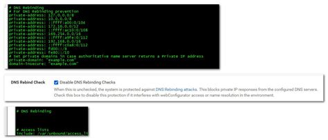 Disabling DNS Rebinding Checks Does Alter Domain Overrides Netgate Forum