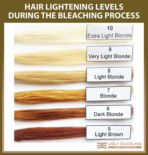 How to Bleach Hair: The 13 Steps to Blonde Success - With Pictures & Detailed Explanations ...