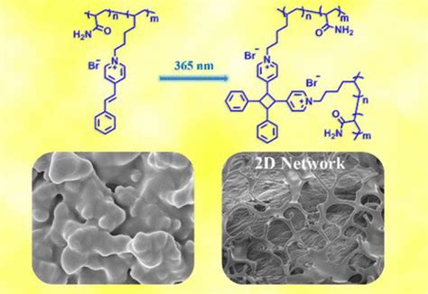 Emission Tunable Room Temperature Phosphorescent Two Dimensional Polymer Network Via A Photo