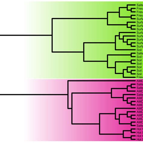 Clustering Analyses Based On The Community Scale Evolutionary Variables Download Scientific