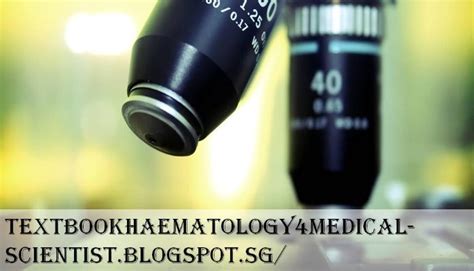 Pbmc Isolation Using The Miltenyi Biotec Macs Cell Separation Technology