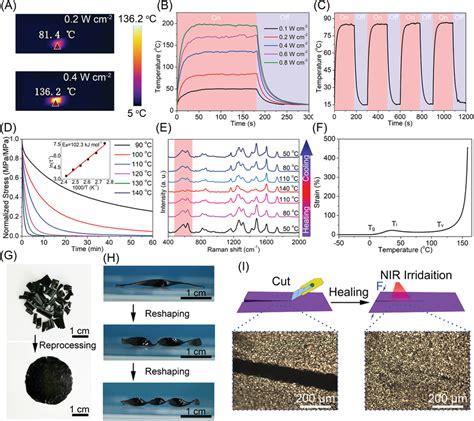 Photothermal Performance And Thermal Dynamic Behavior Of The Rm257‐fe Download Scientific