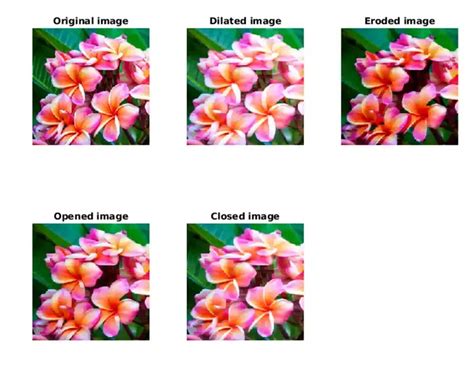 Morphological Operations In Scipy Geeksforgeeks