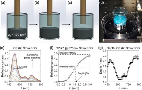 Sampling Depth Of A Diffuse Reflectance Spectroscopy Probe For In Vivo Physiological