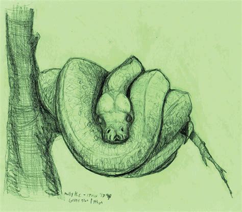 How To Draw A Tree In Python