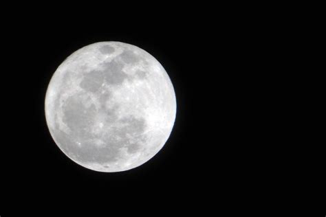 무료 이미지 검정색과 흰색 밤 분위기 보름달 원 천체 천계의 사건 2952x1968 979982 무료