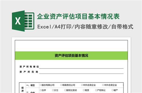 企业资产评估项目基本情况表 Excel表格 办图网