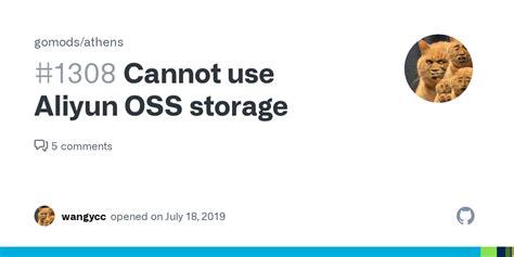 Cannot Use Aliyun OSS Storage Issue Gomods Athens GitHub