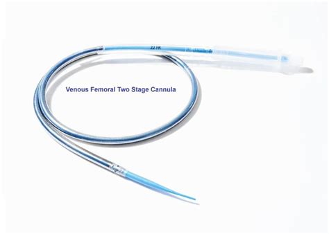 Eopa Arterial Extracorporeal Perfusion Cannulae For Providing Fluids