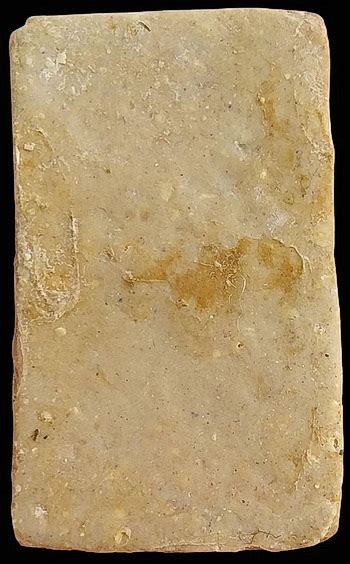 สมเด็จฯ ทรงเสือ เนื้อผงน้ำมัน ปี๒๔๙๕ หลวงพ่อแฉ่ง วัดบางพัง นนทบุรี ร้านค้า