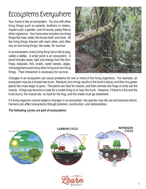 Biomes And Ecosystems Free PDF Download Learn Bright