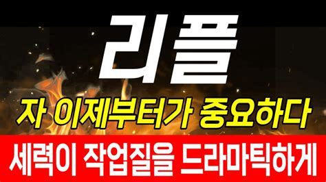 리플 코인🏆역대급 불장에서 수익 싹쓸이하자 리플코인리플코인전망 Youtube