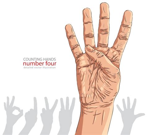 Premium Vector Numbers Hand Signs Set Number Four Detailed Vector Illustration