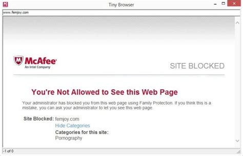 McAfee Family Protection