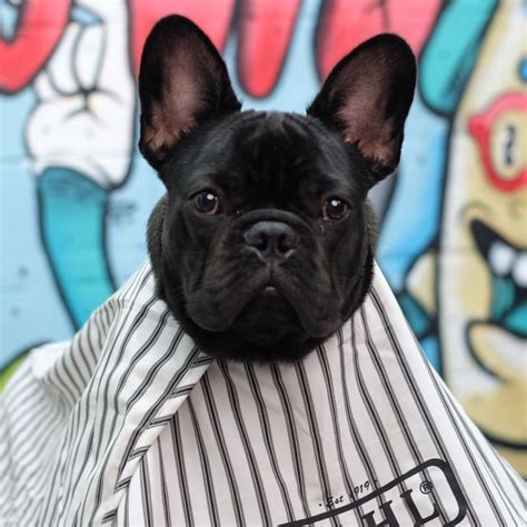 Beka Dimasbekaa Threads Say More