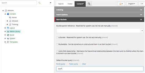 how to correctly login as virtual user to use the sitecore content