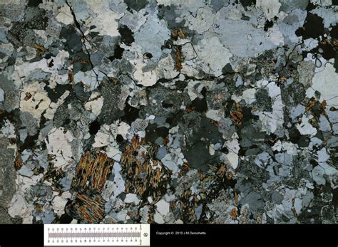 Tonalite Thin Section