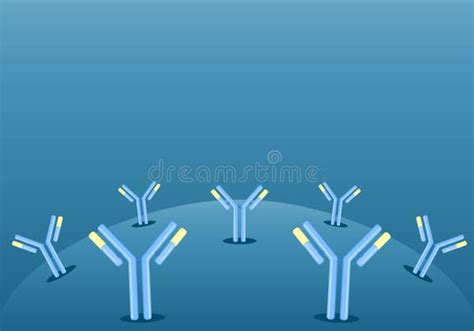 Antibody Immunoglobulin Ige Or Igg Stock Vector Illustration Of