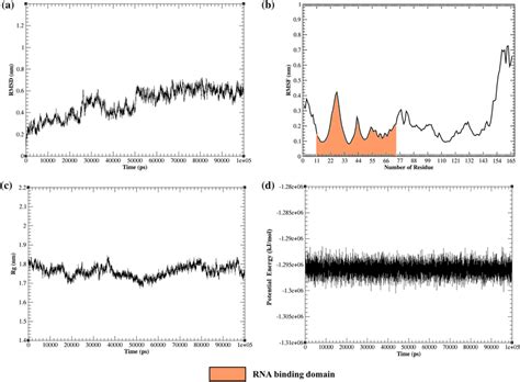 Stability analysis of RpsE protein using molecular dynamics simulation... | Download Scientific ...
