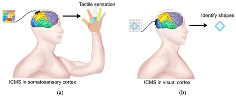Modulating Brain Activity with Invasive Brain–Computer Interface: A Narrative Review