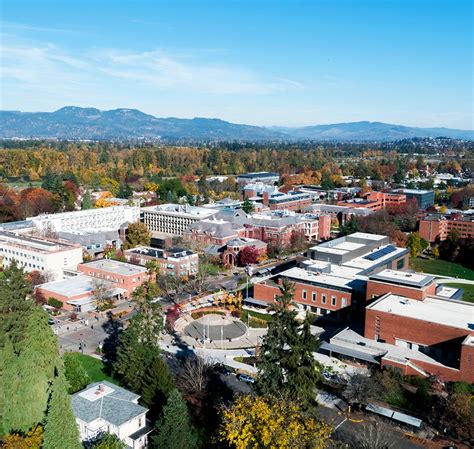 Advertising And Brand Responsibility Masters Program Journalism And