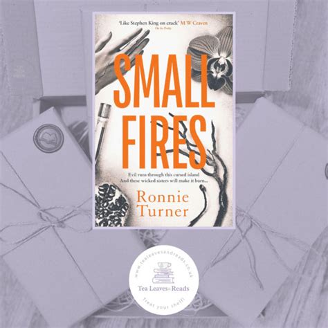 Small Fires By Ronnie Turner Tea Leaves And Reads