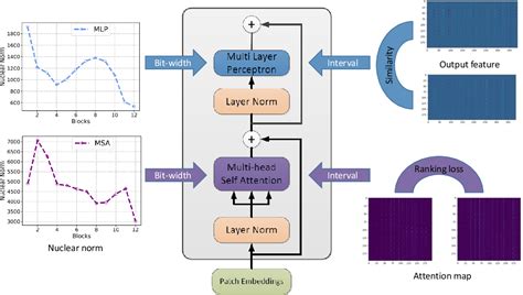Selectq Calibration Data Selection For Post Training Quantization At Armando Jackson Blog