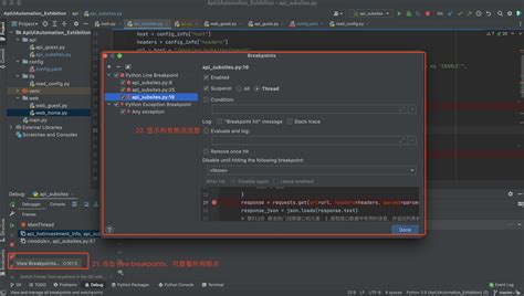 Python调试指南：从断点到程序控制 Csdn博客