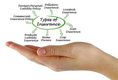 A Guide To Different Types Of Insurance Policies And Insurance Coverage