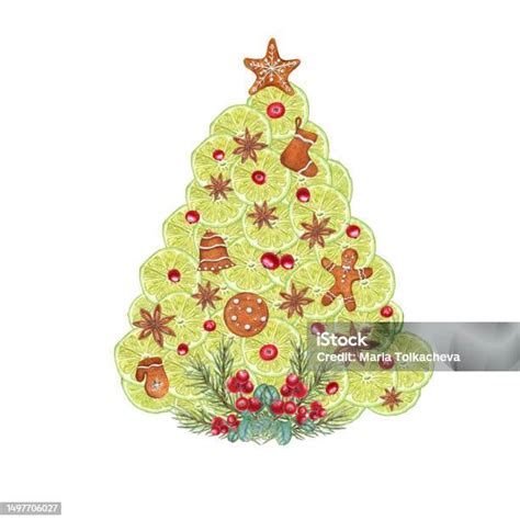 라임 서클 스타 아니스 크리스마스 쿠키 링곤베리가 흰색 배경에 분리된 크리스마스 트리 모양으로 접혀 있습니다 크리스마스와 새해 카드 디자인을 위한 수채화 그림 0명에 대한