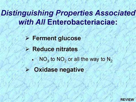 Introduction To Enterobacteriaceae Online Presentation