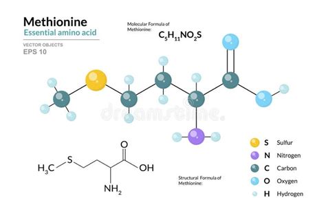 Methionine Formula Stock Illustrations 256 Methionine Formula Stock