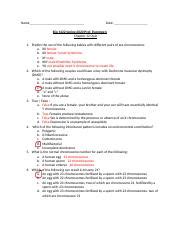 Bio1422 Chapter12 Quiz Docx Name Date Bio 1422 Spring 2020 Prof Evergreen Chapter 12 Quiz 1