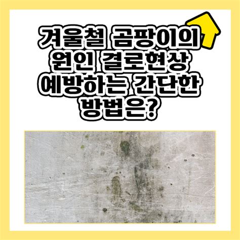 겨울철 곰팡이의 원인 결로현상 예방하는 간단한 방법은 네이버 블로그
