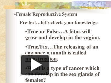 PPT Female Reproductive System PowerPoint Presentation Free To View Id Fe ZWM N