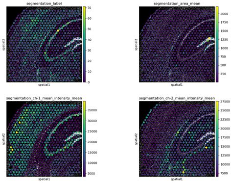 Extract Segmentation Features Squidpy Documentation