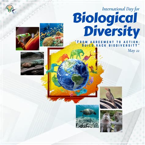 Biological Diversity Test At Ruth Tolbert Blog