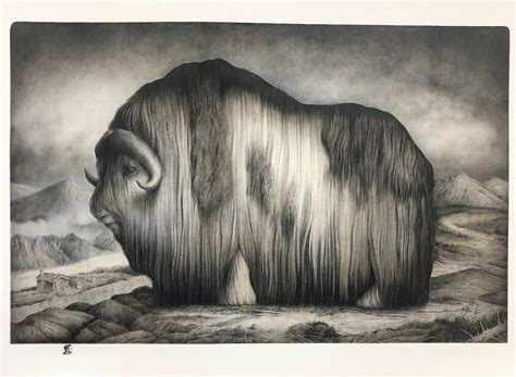 Sverre Malling Norwegian Muskox 2018 Kristin Hjellegjerde