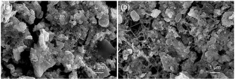 Figure 1 From Au Decorated 1d Sno2 Nanowire 2d Ws2 Nanosheet Composite For Co Gas Sensing At
